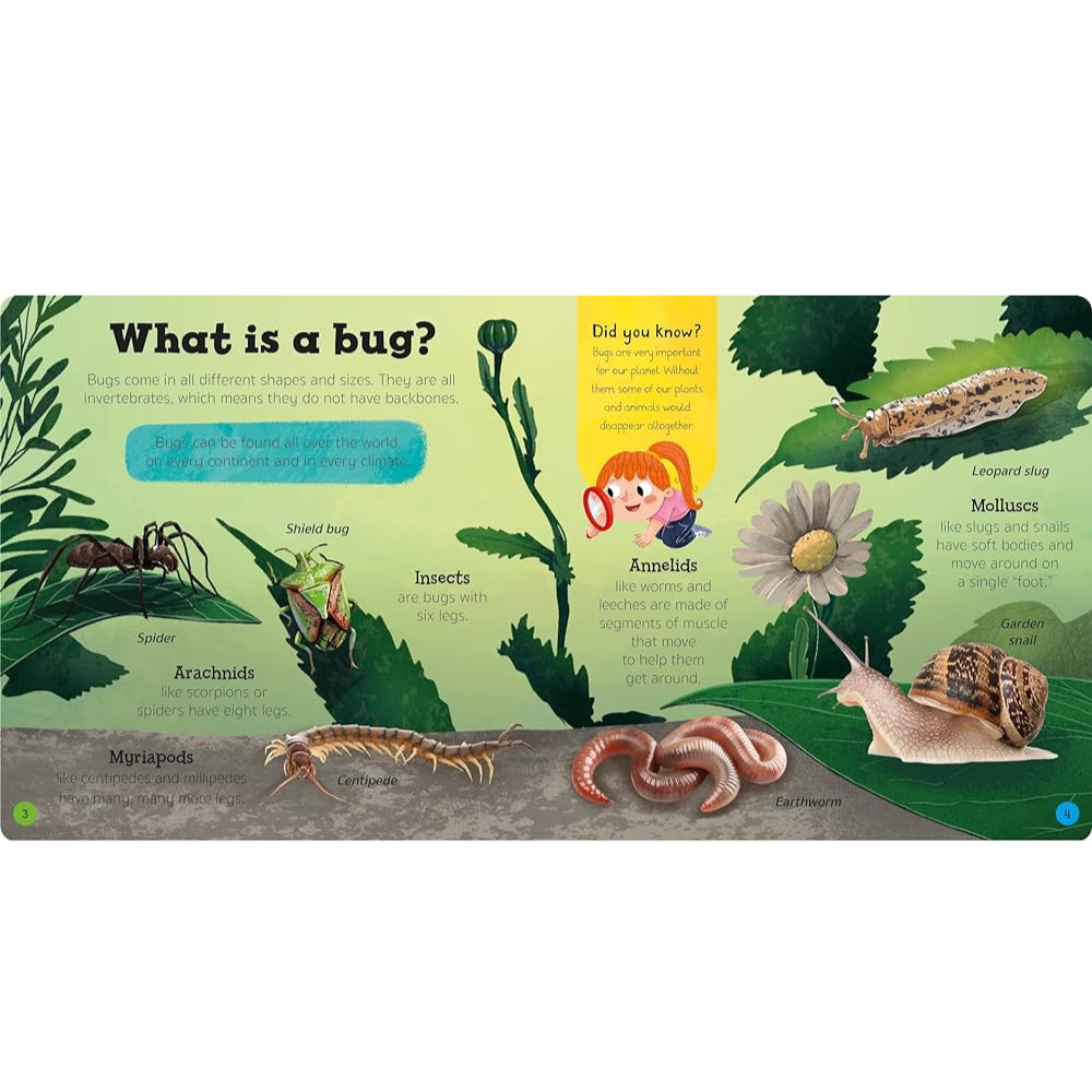 BRUMBY SUNSTATE BOOKS SLUGS AND BUGS BOOK BB - Tolly Toys