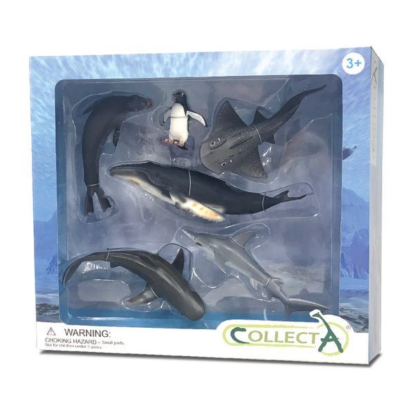 COLLECTA SEA GIFT SET 6PC 84050 - Tolly Toys