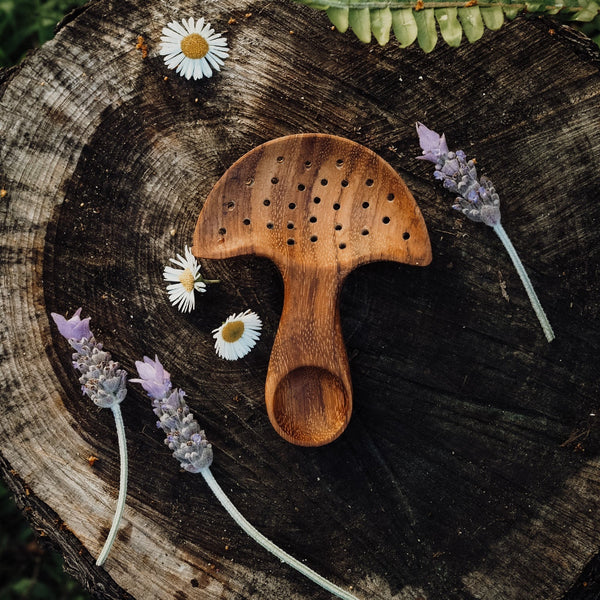 WILD MOUNTAIN CHILD MUSHROOM MULTI TOOL - Tolly Toys